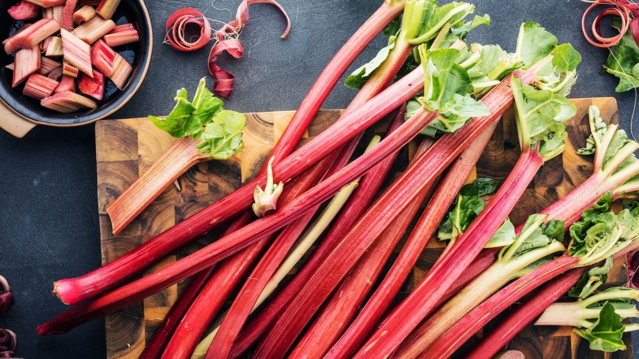 Rebarbora – ako a kedy ju správne zberať? - TvojeZdravie.sk