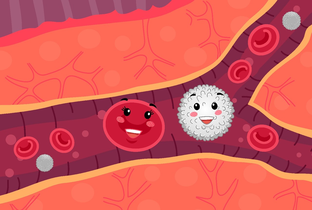 Leukocyty alebo biele krvinky – čo všetko by sme o nich mali vedieť ...