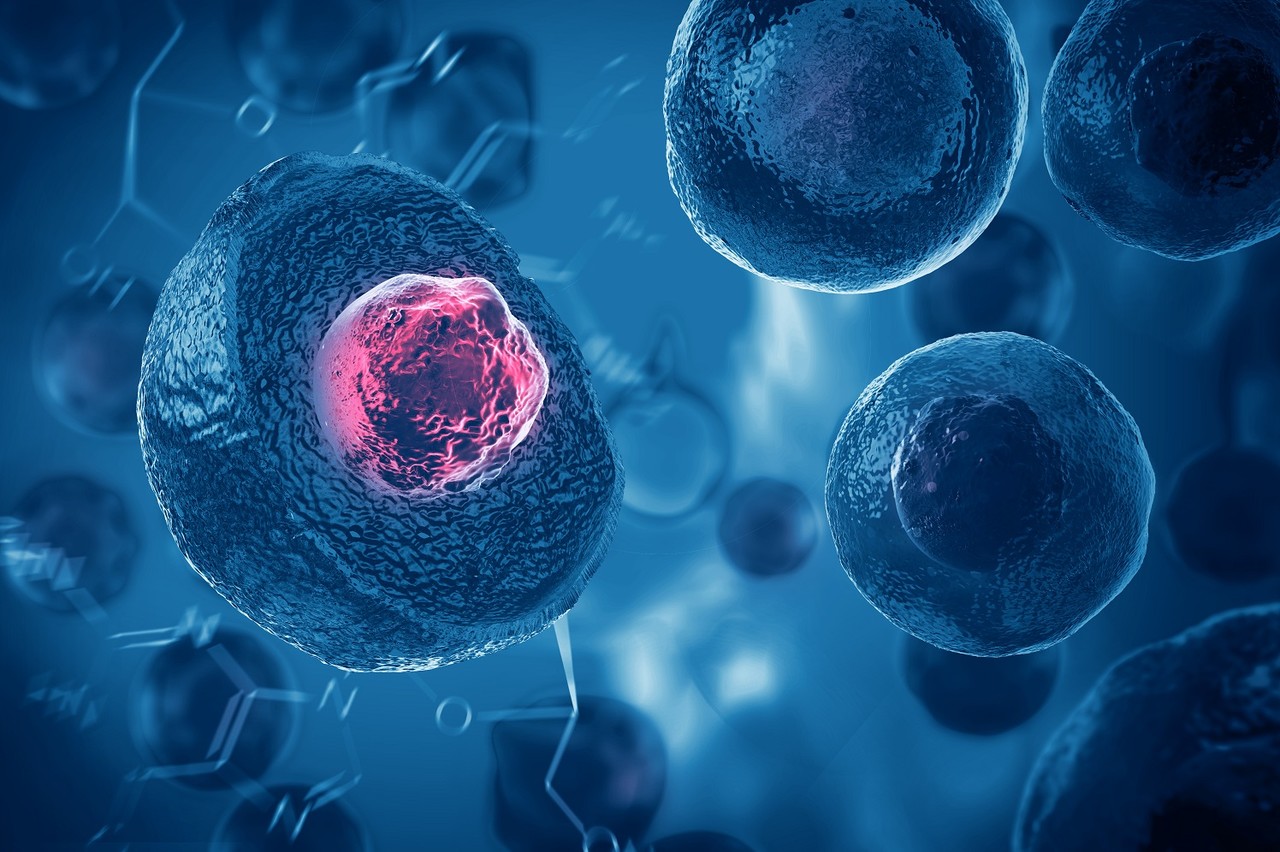 Čo sú kmeňové bunky? Pri ktorých ochoreniach pomôžu? - TvojeZdravie.sk