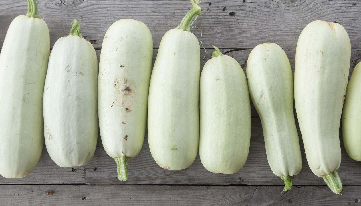 Biela tekvica – 5 jednoduchých receptov - TvojeZdravie.sk